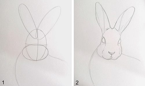 How to Draw a Bunny Face - A Step-by-Step Rabbit Drawing Guide