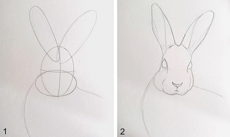 How to Draw a Bunny Face - A Step-by-Step Rabbit Drawing Guide