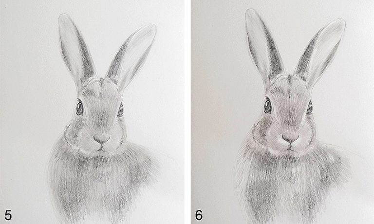 How to Draw a Bunny Face - A Step-by-Step Rabbit Drawing Guide