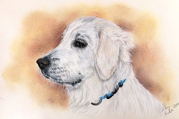 How to Draw a Dog - An Easy Dog Drawing Guide