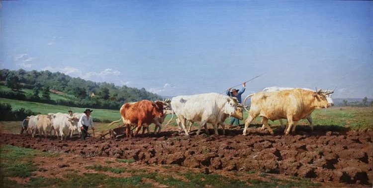Realism Art - A History of Realism and the Realism Art Movement