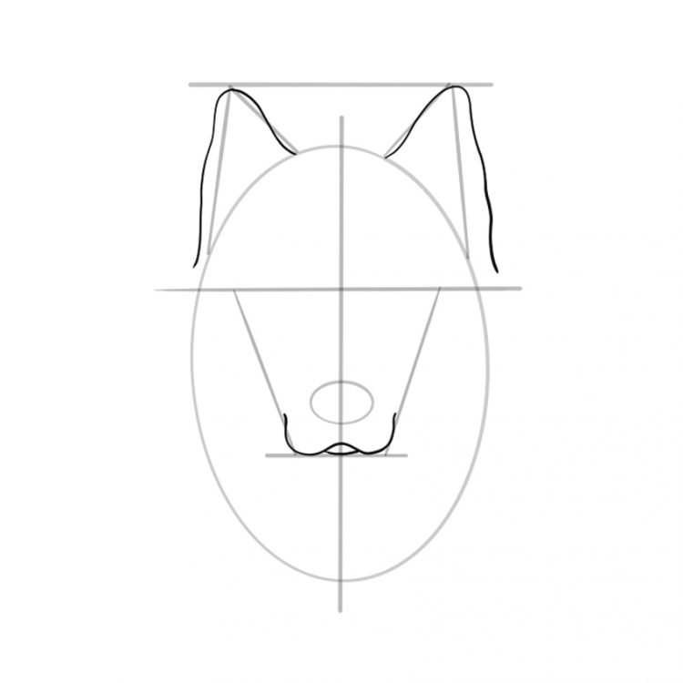 How to Draw a Wolf Head – A Guide That Makes Wolf Drawing Easy