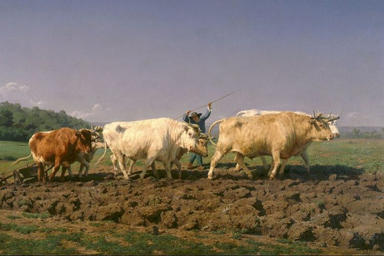 Realism Paintings and Artists - Highlights of the Realism Movement