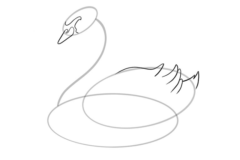 How to Draw a Swan - A Tutorial on How to Draw a Realistic Swan