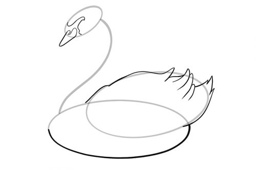 How to Draw a Swan - A Tutorial on How to Draw a Realistic Swan