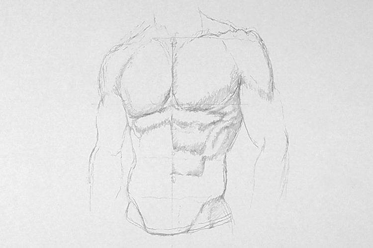 How To Draw Abs A Step By Step Guide To Creating An Abs Drawing