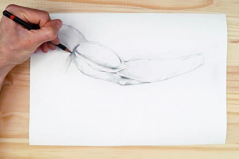How to Draw Arms - Learn How to Create Your Own Arm Drawing
