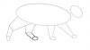 How to Draw a Cat - Step-by-Step Tutorial to Make Cat Drawing Easy