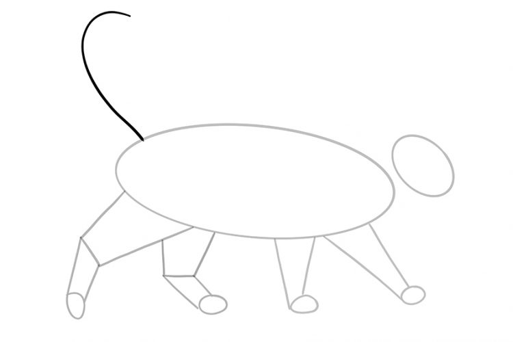 How to Draw a Cat - Step-by-Step Tutorial to Make Cat Drawing Easy