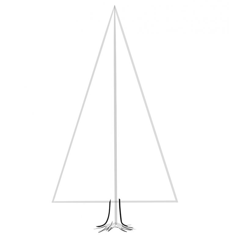 How to Draw a Tree - A Tutorial for Drawing Oak and Conifer Trees