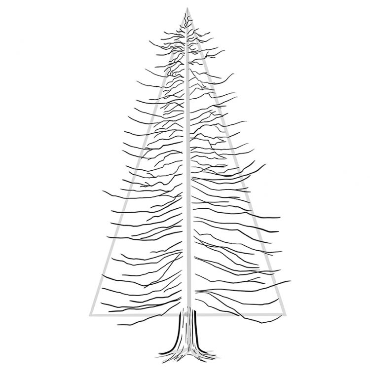 How to Draw a Tree - A Tutorial for Drawing Oak and Conifer Trees