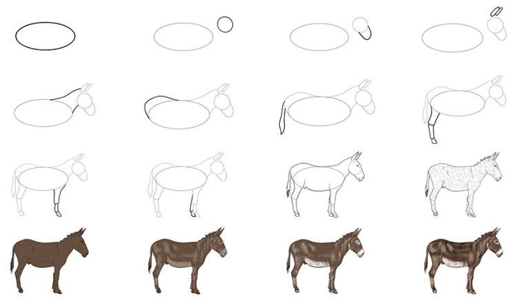How to Draw a Donkey Easy Steps How to Draw a Simple Donkey Step by ...