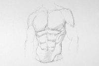 How to Draw Abs - A Step-by-Step Guide to Creating an Abs Drawing