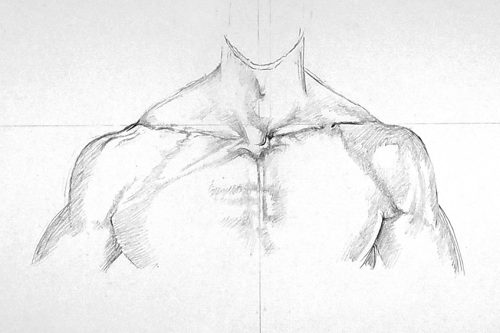 How to Draw Shoulders - A Step-by-Step Guide to Drawing Shoulders
