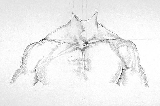 How to Draw Shoulders - A Step-by-Step Guide to Drawing Shoulders