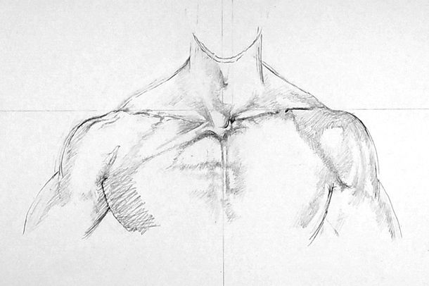 How to Draw Shoulders - A Step-by-Step Guide to Drawing Shoulders