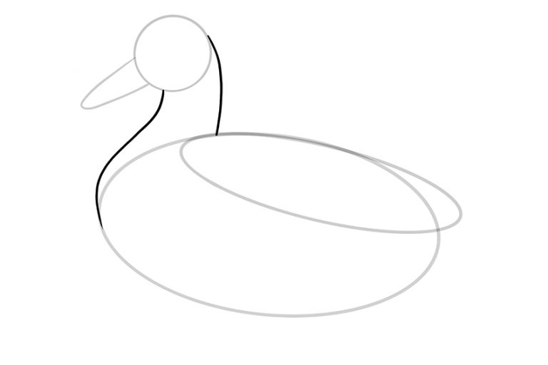 How to Draw a Duck - An Easy Duck Drawing Tutorial for All Artists