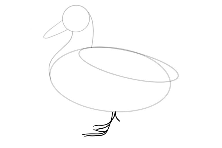 How to Draw a Duck - An Easy Duck Drawing Tutorial for All Artists