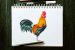 How to Draw a Rooster - Our Fun Cockerel Drawing Tutorial