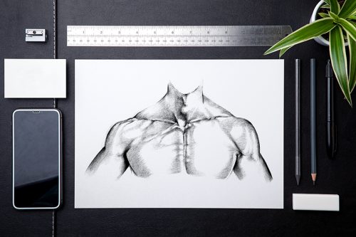 How to Draw Shoulders - A Step-by-Step Guide to Drawing Shoulders