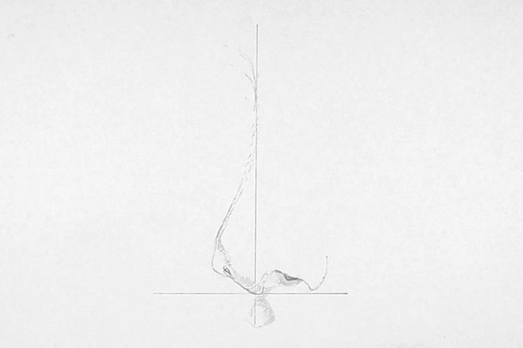 How to Draw a Sideways Nose - Bundy Hemed1998