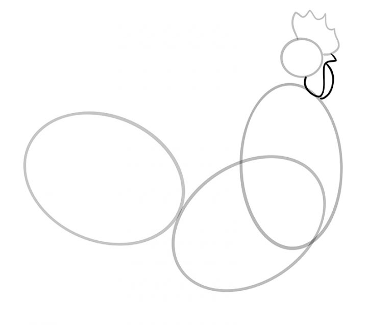 How to Draw a Rooster - Our Fun Cockerel Drawing Tutorial