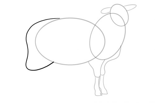 How to Draw a Sheep - The Best Realistic Lamb Drawing Tutorial
