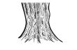 How to Draw a Tree - A Tutorial for Drawing Oak and Conifer Trees