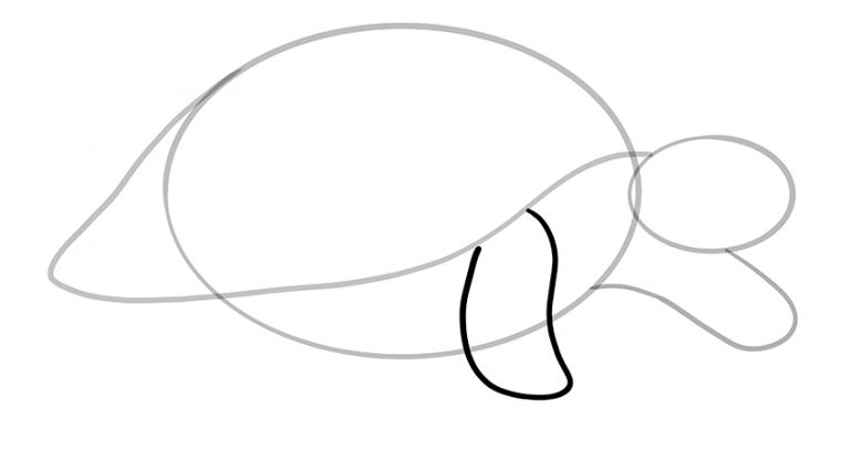 How to Draw a Turtle - Making Turtle Drawing Easy for Beginners