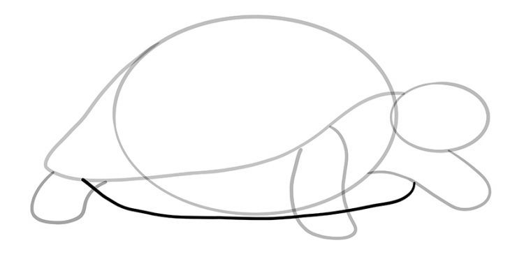 How to Draw a Turtle - Making Turtle Drawing Easy for Beginners