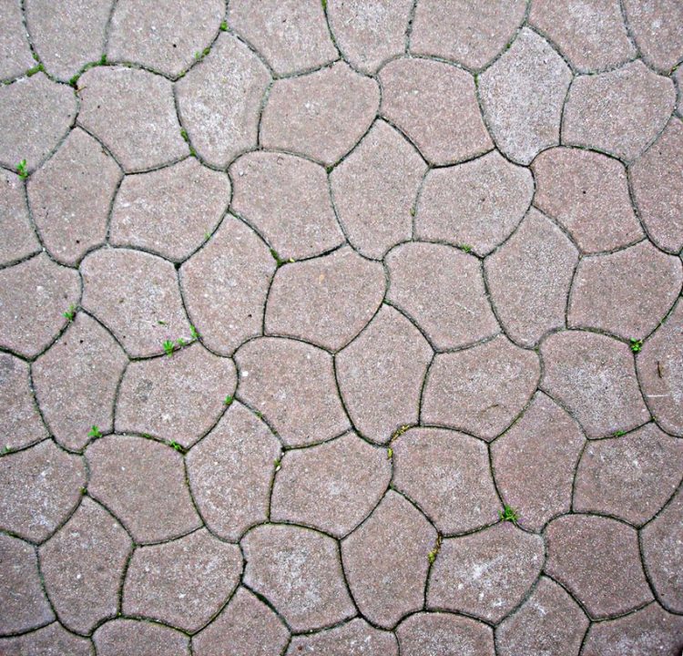 Tessellation Art - A Guide to the Art of Tessellation Patterns