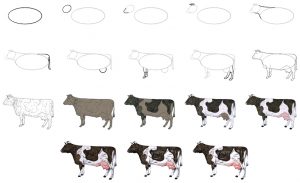 How to Draw a Cow - The Best Tutorial for Easy Cow Drawing