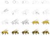 How to Draw a Bee - A Step-by-Step Tutorial to Make Bee Drawing Easy