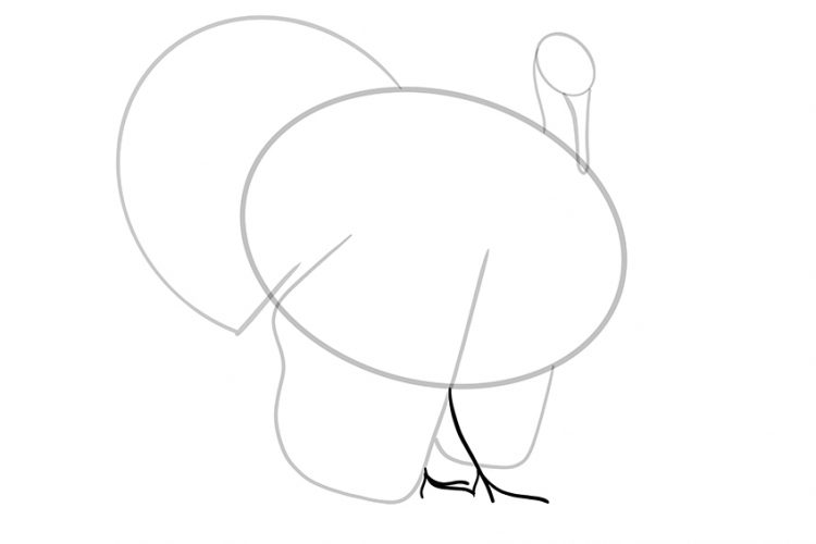 How to Draw a Turkey - Our Fun and Easy Turkey Drawing Tutorial