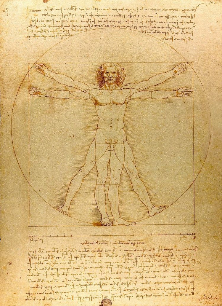 Leonardo Da Vinci Man in Circle Drawing - Alexander Cathery