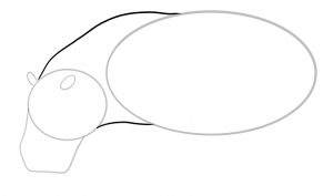 How to Draw a Hippo - A Detailed Step-by-Step Hippo Sketch Tutorial
