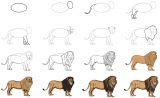 How to Draw a Lion - A Fun and Ferocious Lion Drawing Tutorial