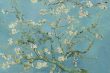 'Almond Blossom' van Gogh - Analyzing van Gogh's Blossom Tree Painting