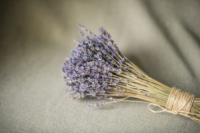 Shades of Purple - The Best 160 Purple Tones To Use