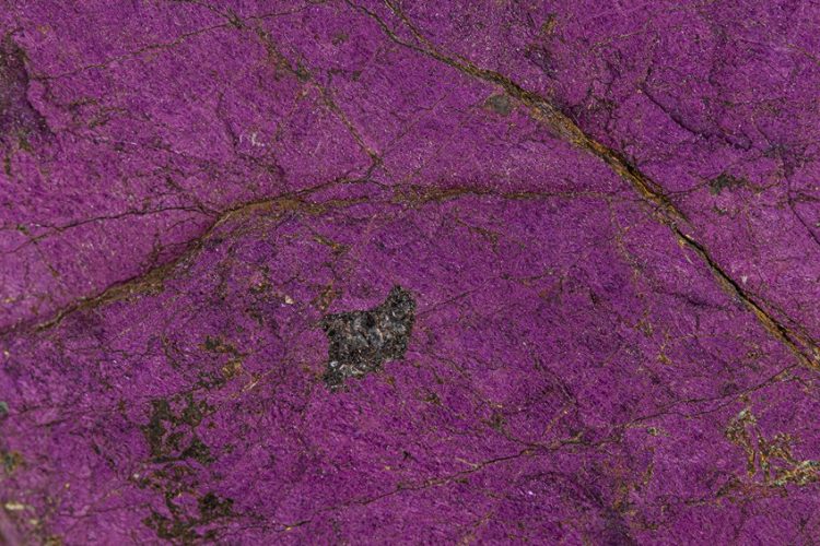 Shades of Purple - A Comprehensive Look at all Types of Purple