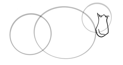 How to Draw a Baboon - Step-by-Step Realistic Baboon Drawing Tutorial