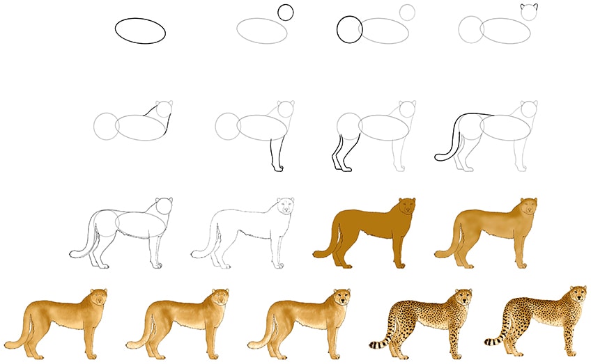 Creative Cheetah Sketch Drawing For Kids Sketch Art Drawing