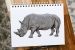 How to Draw a Rhino - The Best Realistic Rhino Drawing Tutorial