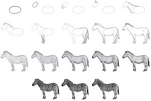 How to Draw a Zebra - An Easy Step-by-Step Zebra Drawing Tutorial