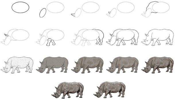 How to Draw a Rhino - The Best Realistic Rhino Drawing Tutorial