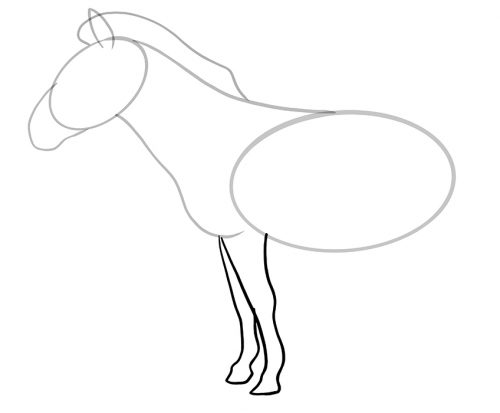 How to Draw a Zebra - An Easy Step-by-Step Zebra Drawing Tutorial