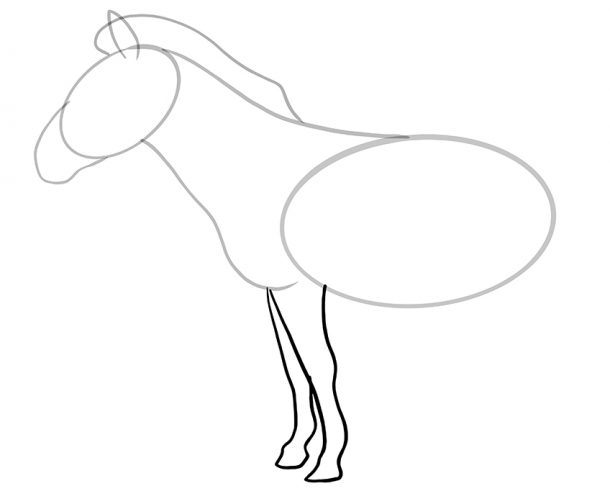 How to Draw a Zebra - An Easy Step-by-Step Zebra Drawing Tutorial