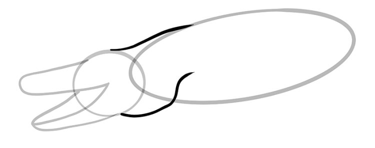 How to Draw a Crocodile - A Fun and Easy Crocodile Drawing Tutorial