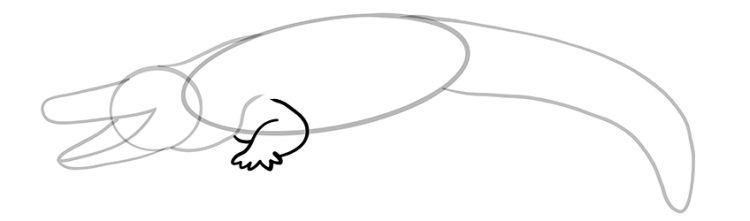 How to Draw a Crocodile - A Fun and Easy Crocodile Drawing Tutorial