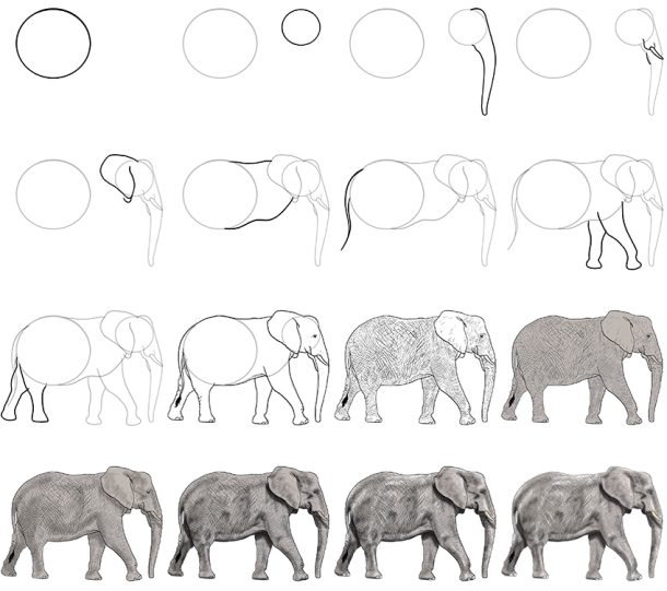 How to Draw an Elephant - Create a Realistic and Easy Elephant Drawing
